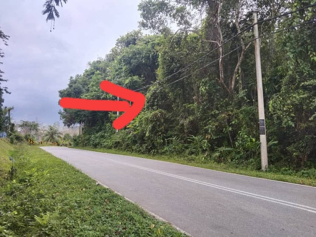 TANAH LAPISAN UTAMA DI CHAROK TOK LATAH WANG TEPUS KUBANG PASU KEDAH ...